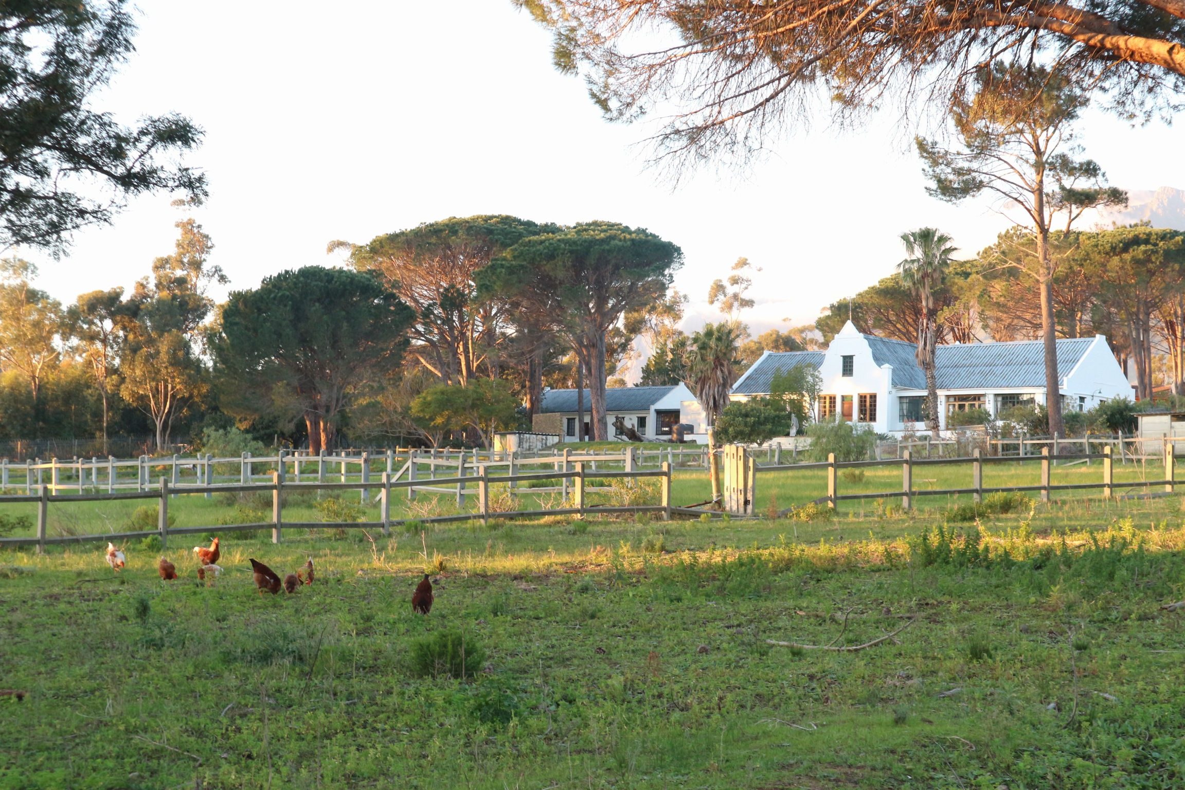 Farm Life – Tre Donne Country Estate
